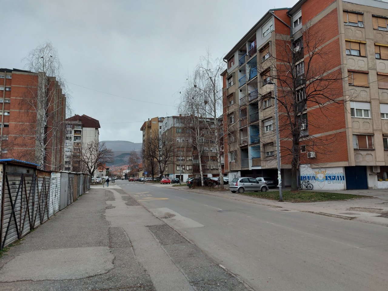 VAŠA PISMA: Drveće zaklanja svetiljke, ugrožavaju se uslovi za ...